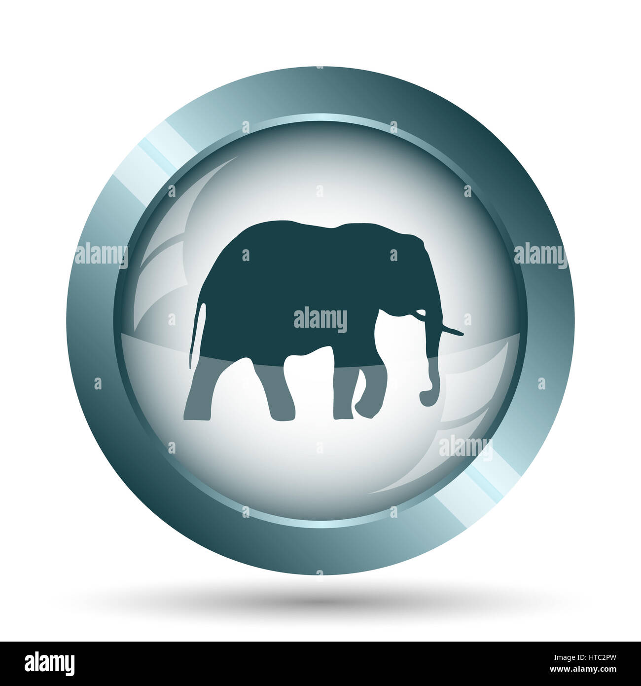 Elephant icon. Internet button on white background Stock Photo - Alamy