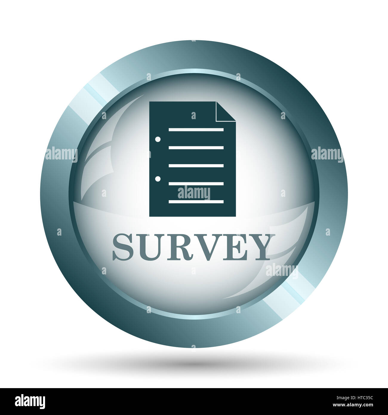 Survey icon. Internet button on white background Stock Photo - Alamy
