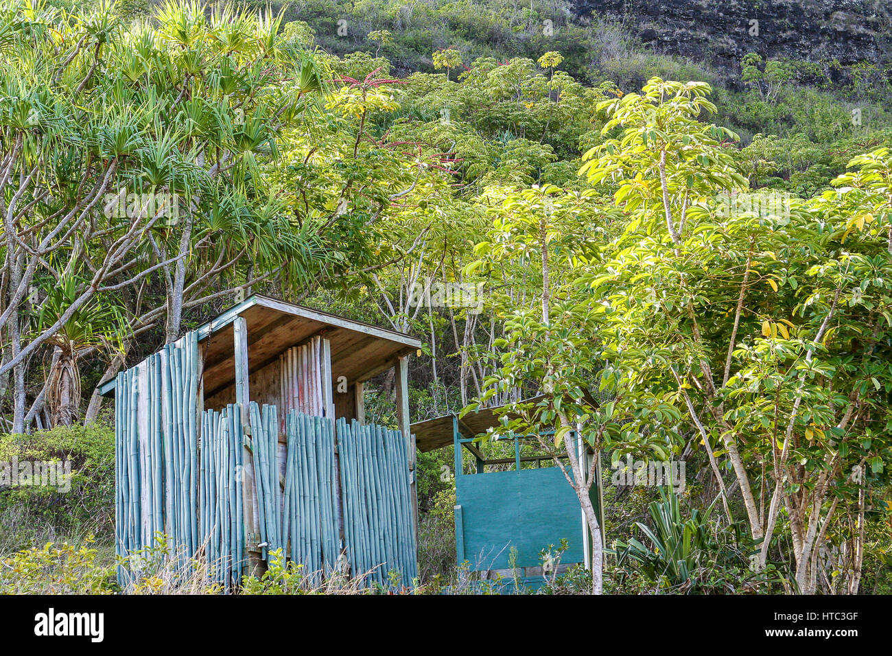 Old wooden structure shaped like outhouses in wooded area of Oahu ...