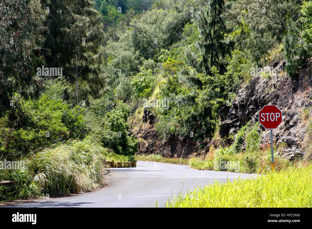 Stop sign on a street in Maui, Hawaii Stock Photo - Alamy