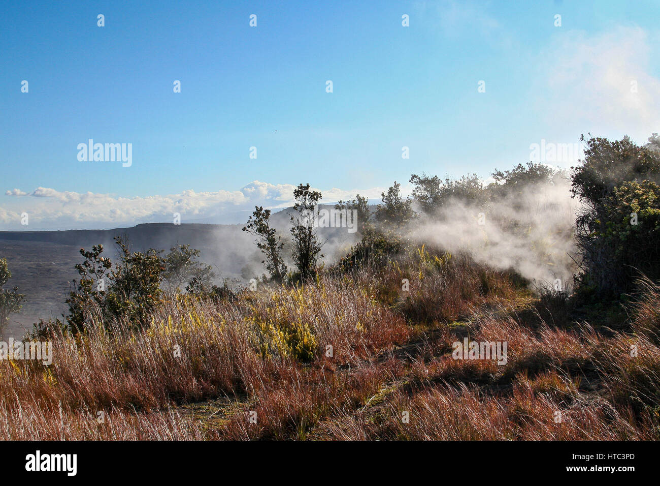 Steam billows from the ground in steam vents on the Big Island, Hawaii ...