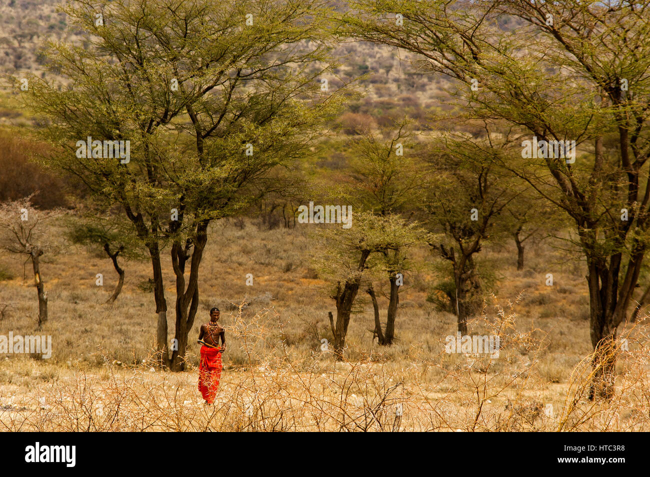 Samburu manyatta near Archer's Post, Samburu National Park, Kenya Stock ...