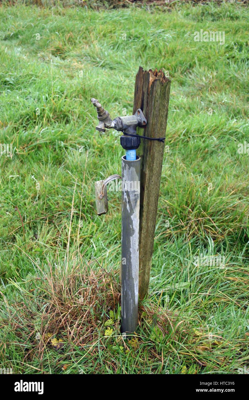 Allotment water tap attached to a broken wooden post and fed by blue ...