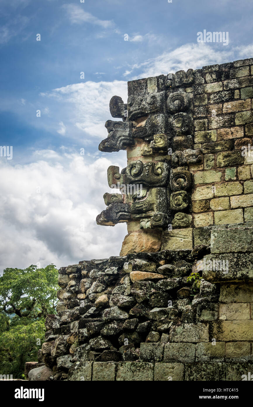 Carved detail at Mayan Ruins - Copan Archaeological Site, Honduras Stock Photo - Alamy