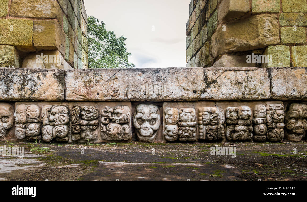 Carved detail at Mayan Ruins - Copan Archaeological Site, Honduras ...