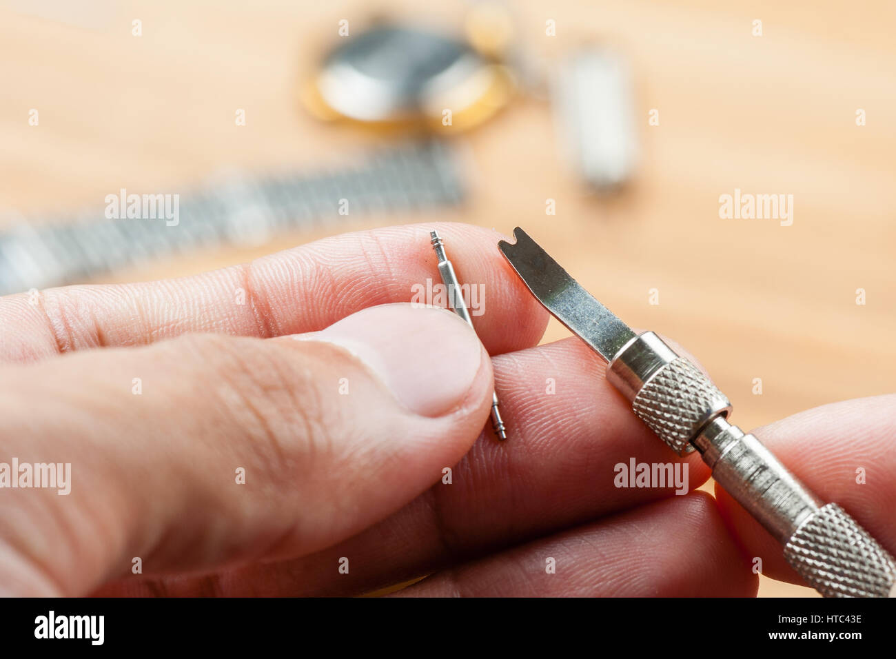 spring bar and spring bar tool, wristwatch parts Stock Photo - Alamy