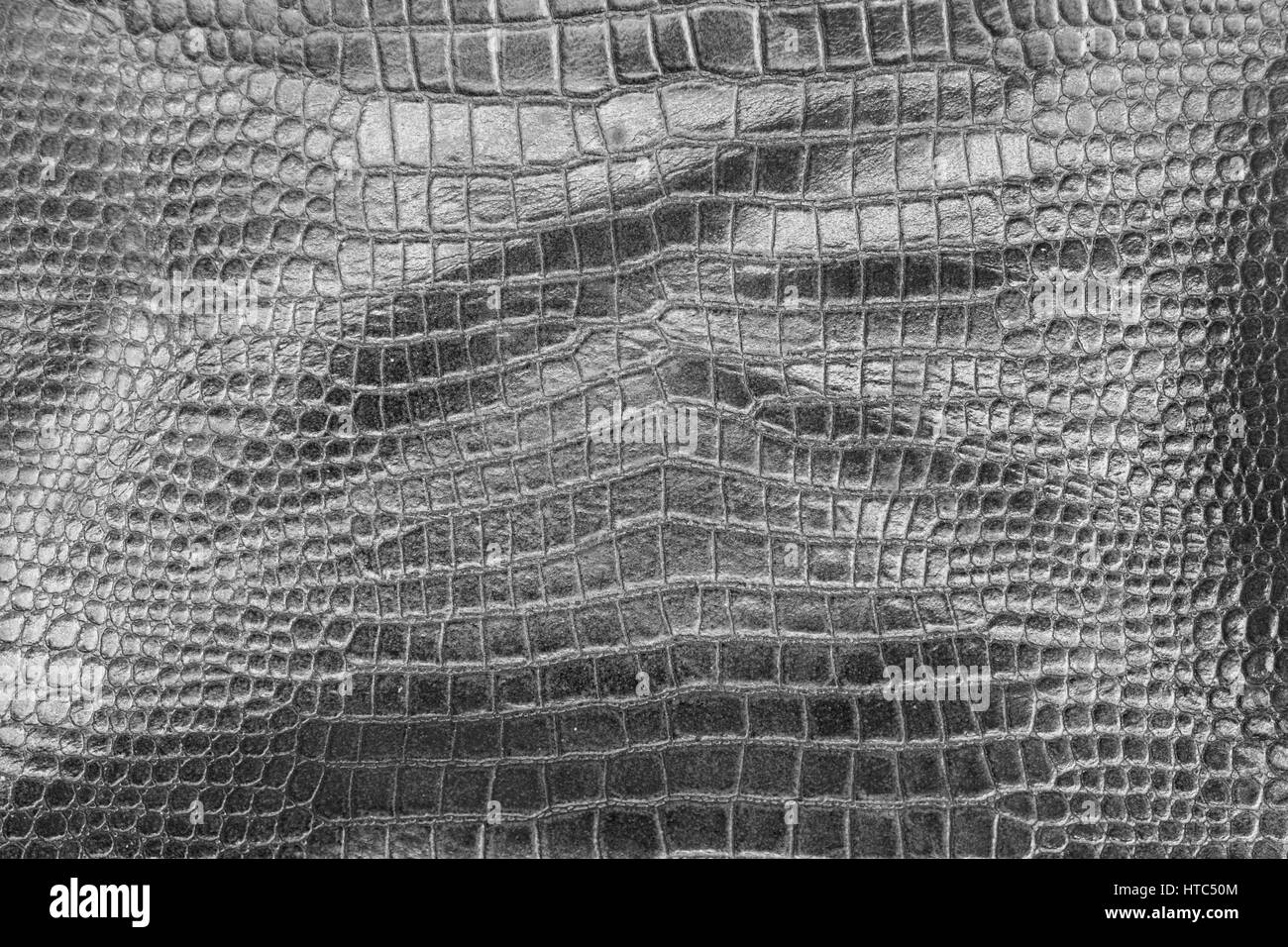 Snakeskin print background Black and White Stock Photos & Images - Alamy