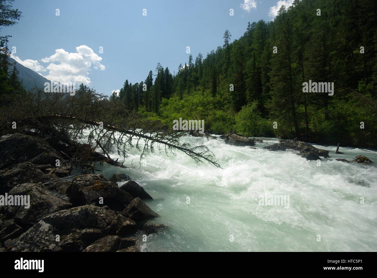 The mountain river in the mountains. Current through the gorge the ...