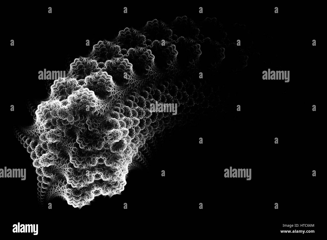 Germ Stock Photos & Germ Stock Images - Alamy