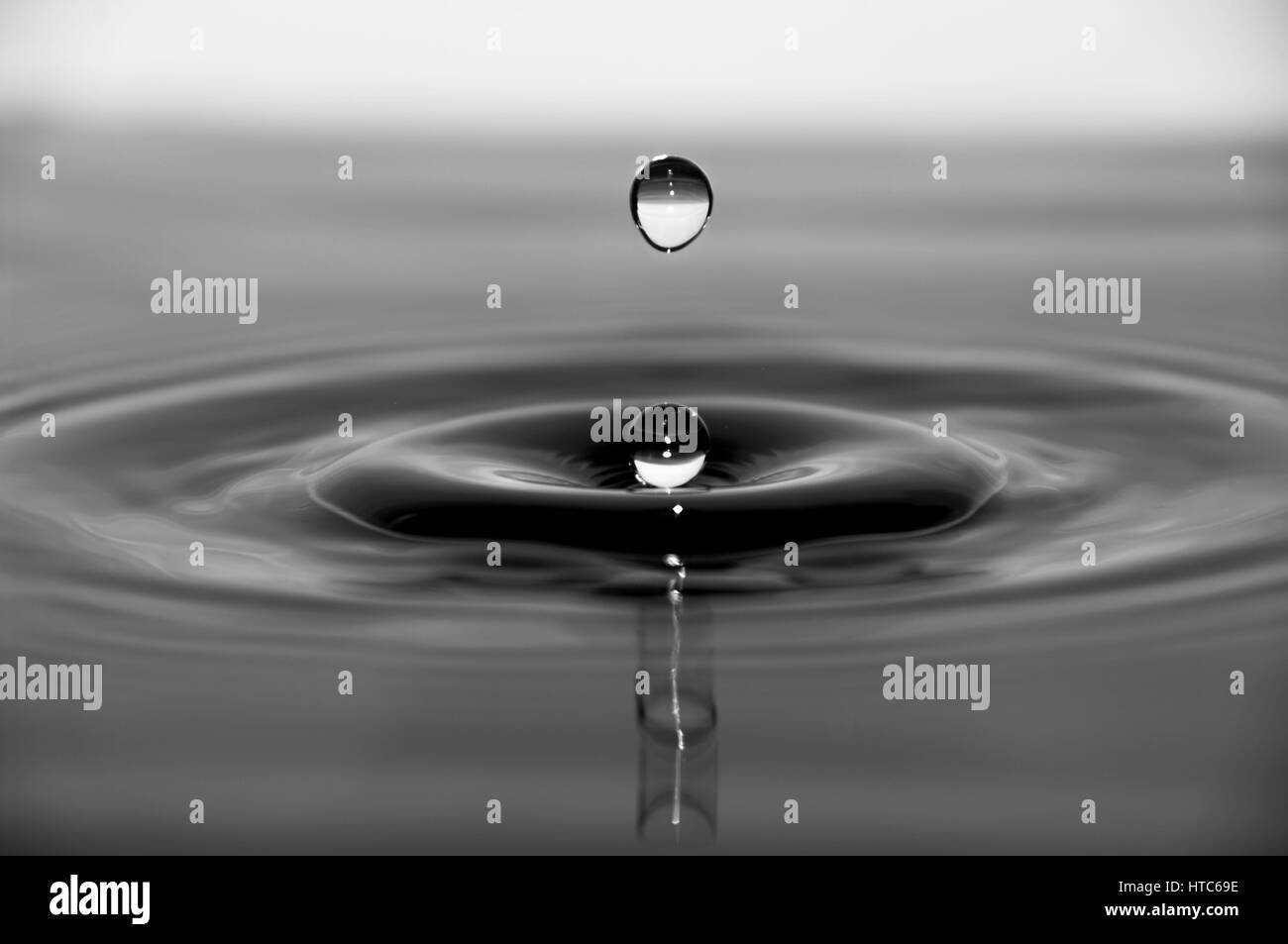 rebound of a water drop Stock Photo - Alamy