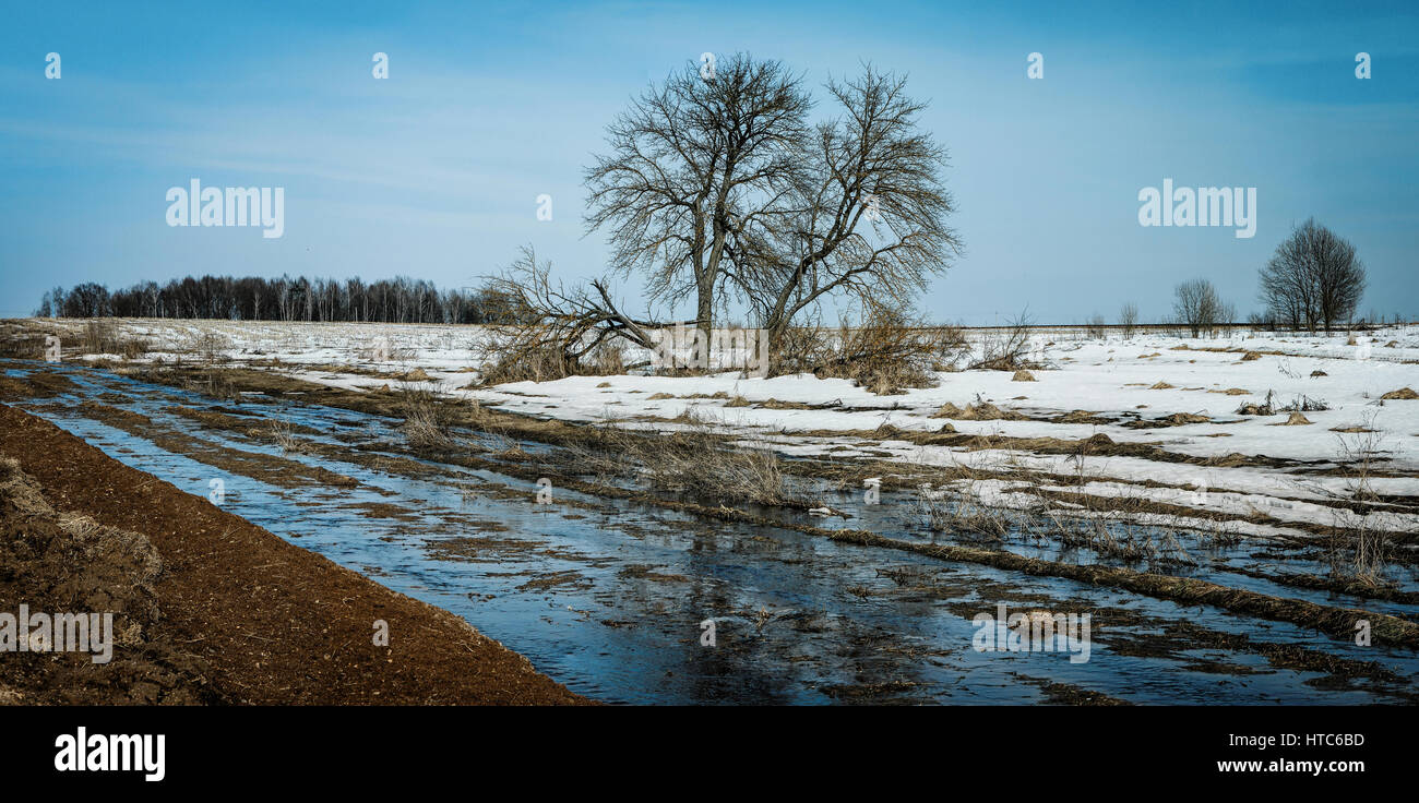 Spring landscape in Central Russia Stock Photo - Alamy