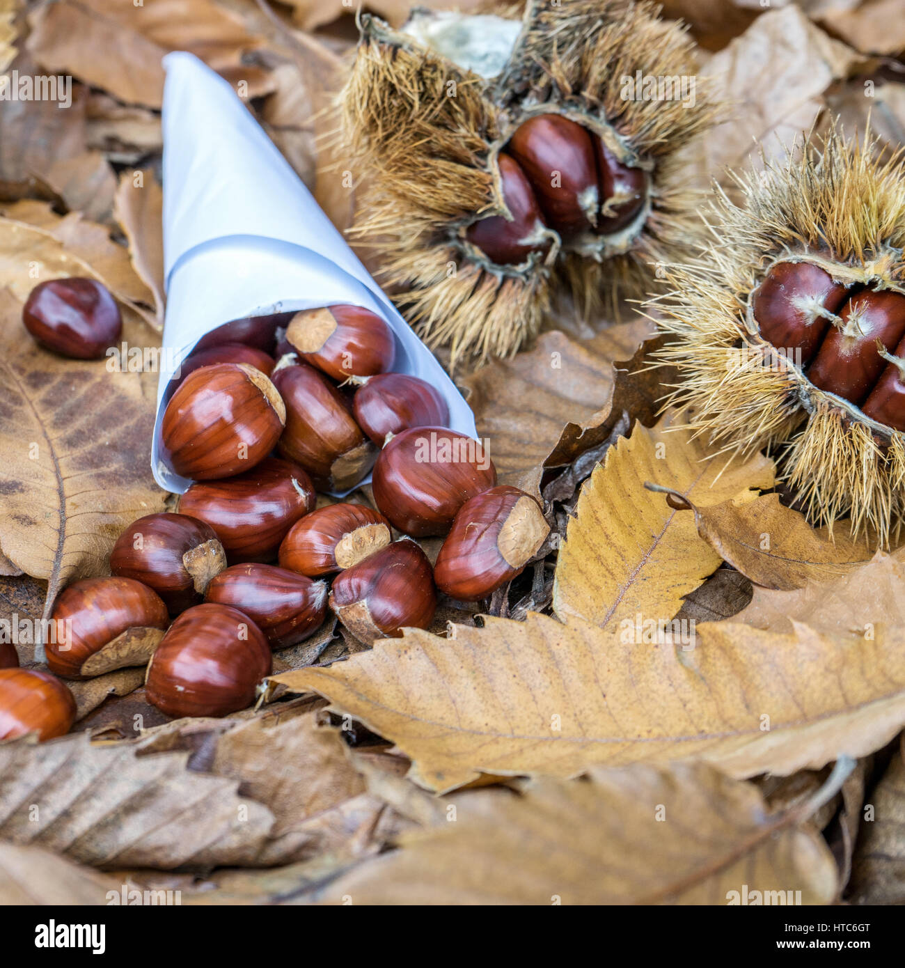 Bag of chestnuts hi-res stock photography and images - Alamy