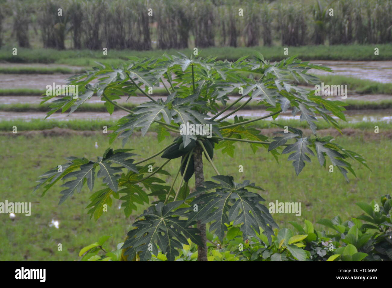 On a way to underground river Stock Photo - Alamy