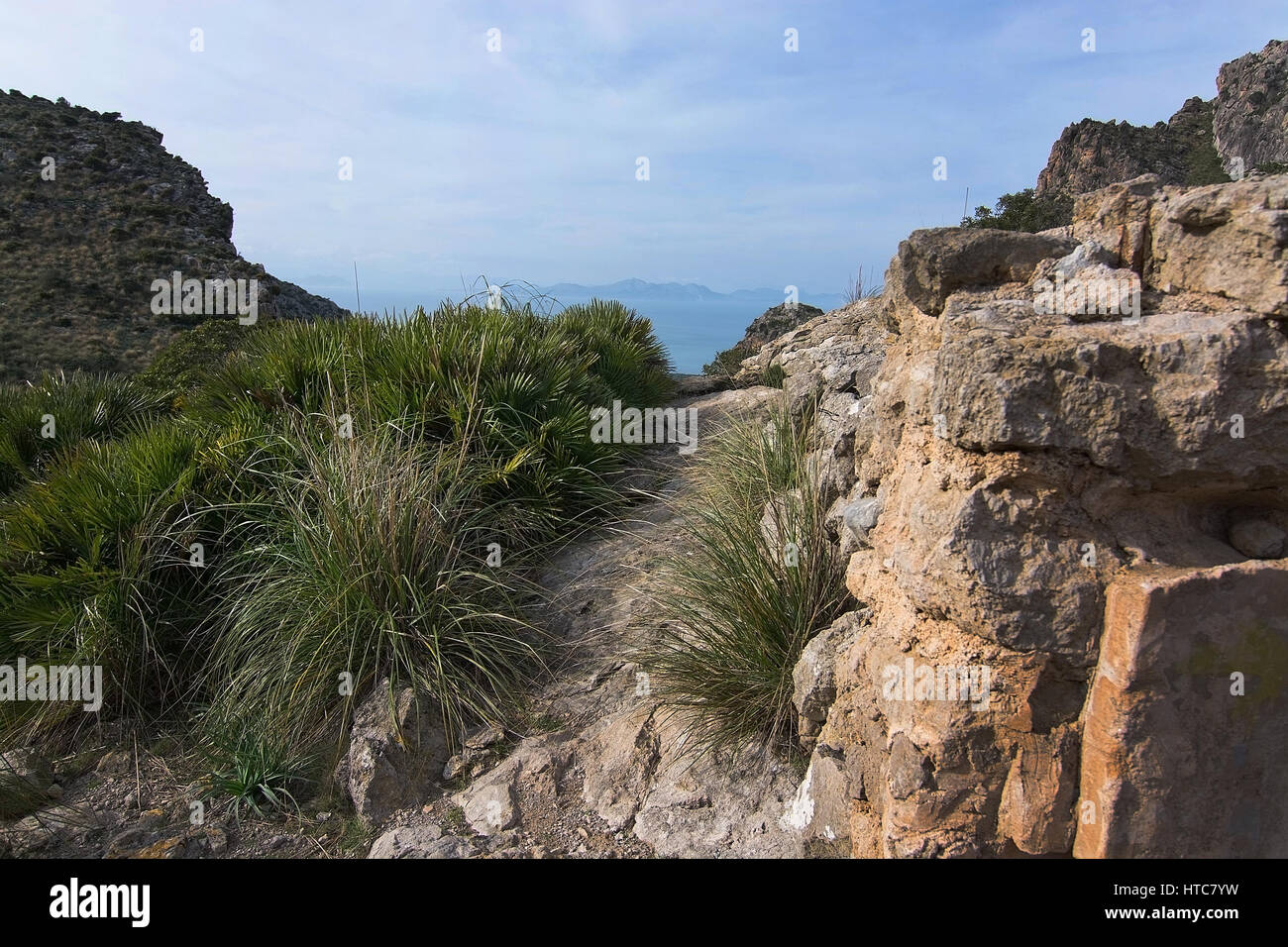 Green spring mountain landscape in Mallorca, Balearic islands, Spain ...