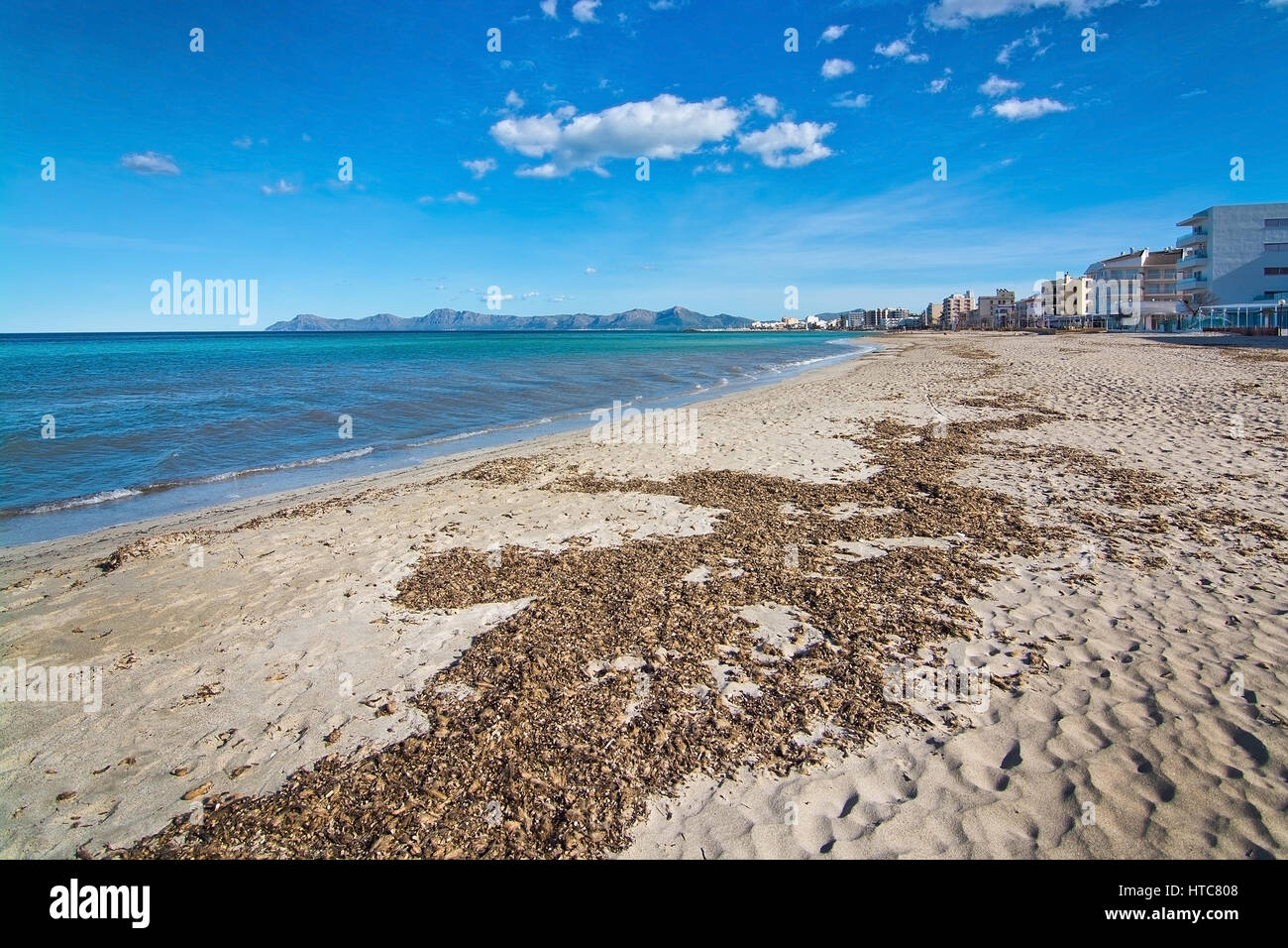 Empty sandy Mediterranean beach in spring sunshine in Majorca, Spain ...