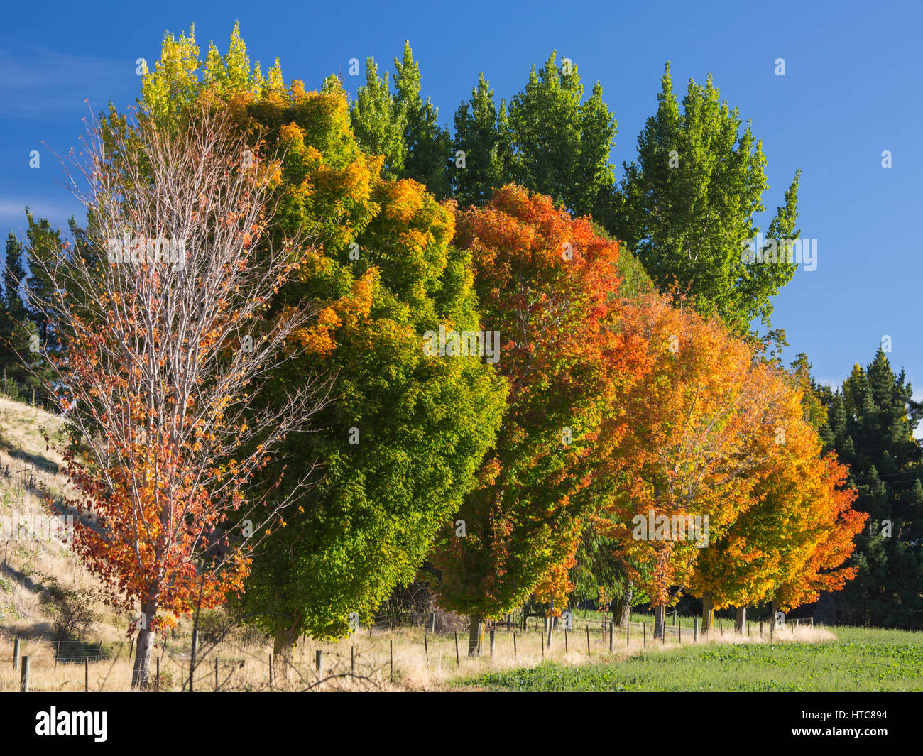 Glendhu bay hi-res stock photography and images - Alamy