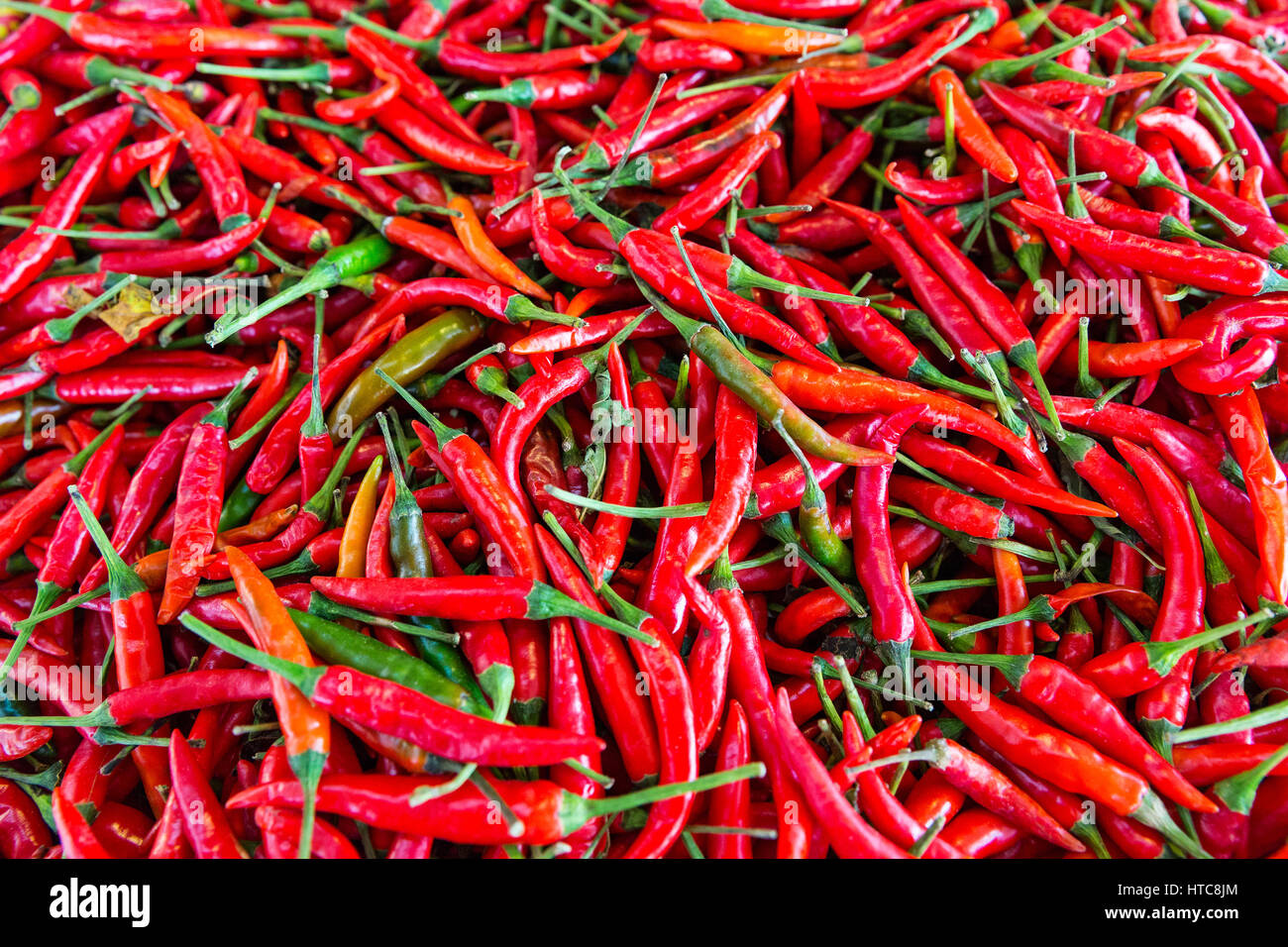 Big bunch of fresh red chili peppers Stock Photo - Alamy