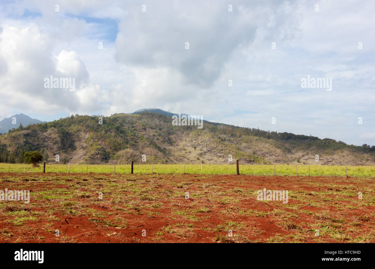 Cattle ranch view on the island of Oahu Hawaii Stock Photo - Alamy