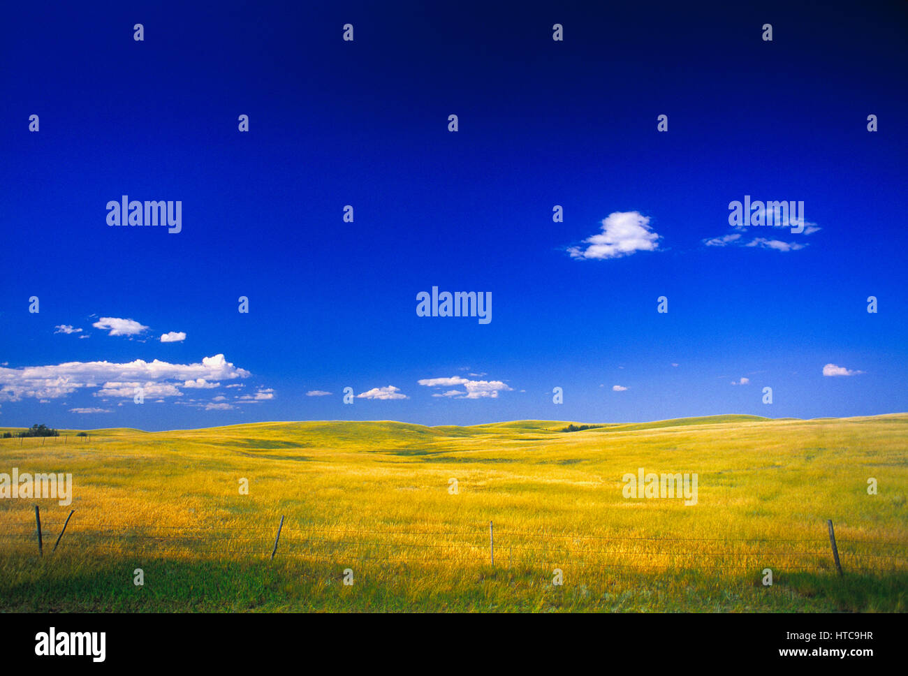 Alberta meadow with blue sky. Central Alberta, Canada Stock Photo - Alamy