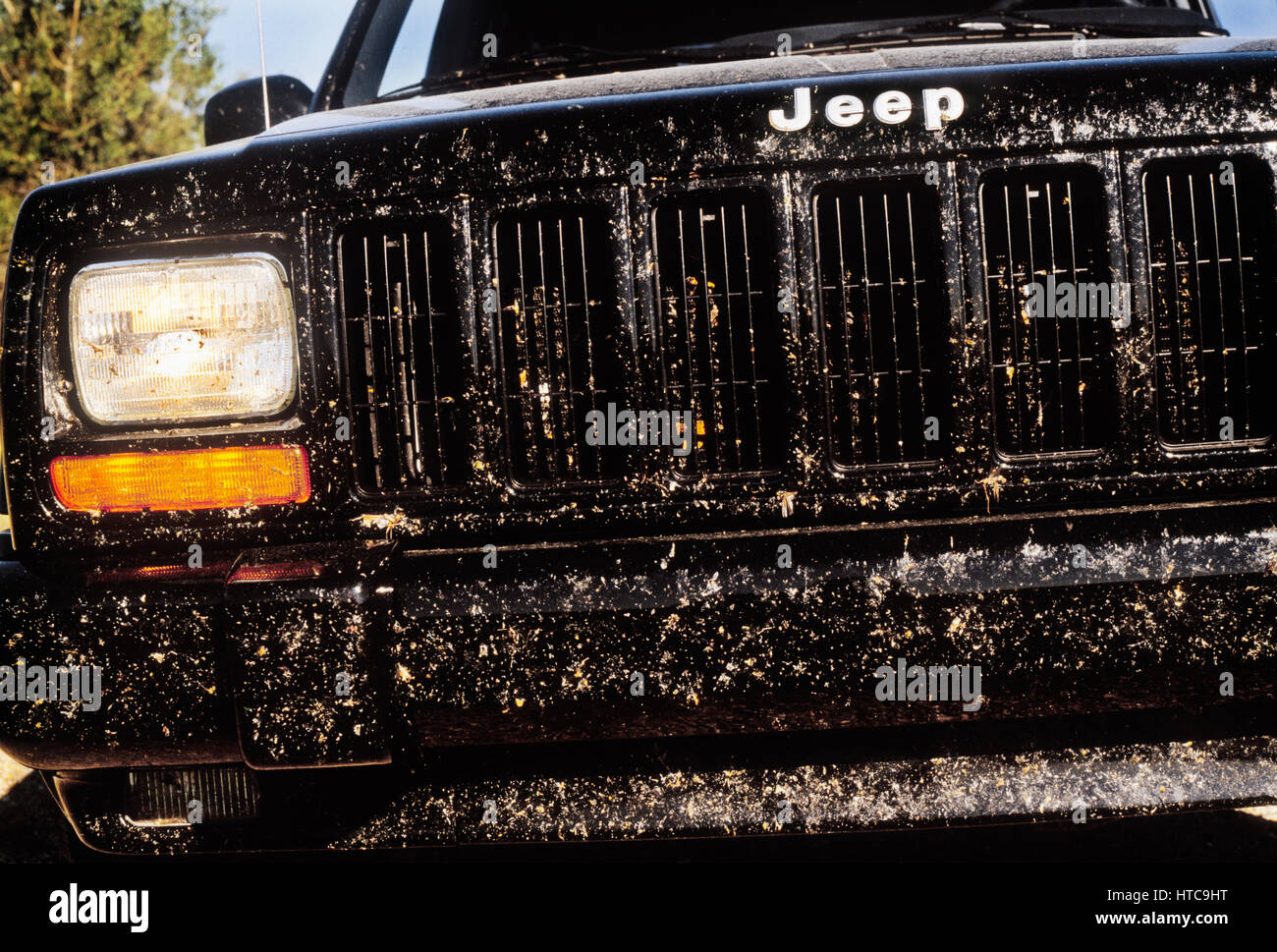 Splattered insects hi-res stock photography and images - Alamy