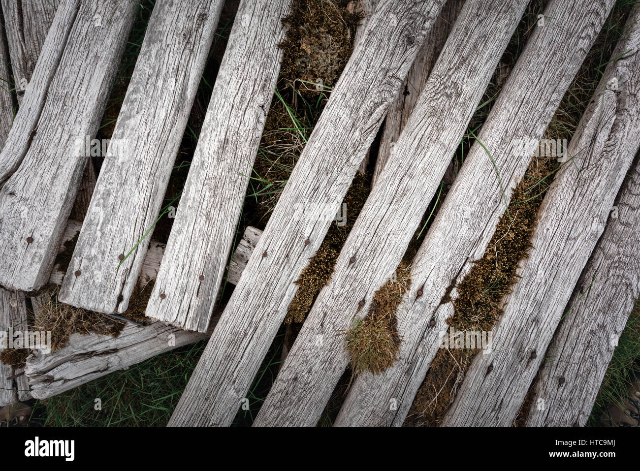 old wood plank close up Stock Photo - Alamy