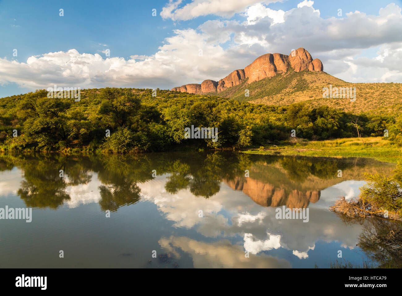 Marakele national park hi-res stock photography and images - Alamy