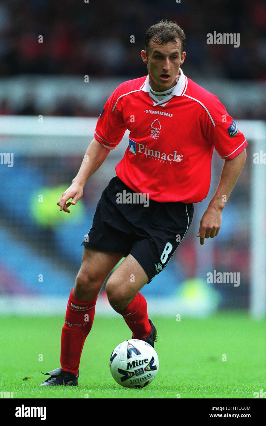 Scimeca forest hi-res stock photography and images - Alamy