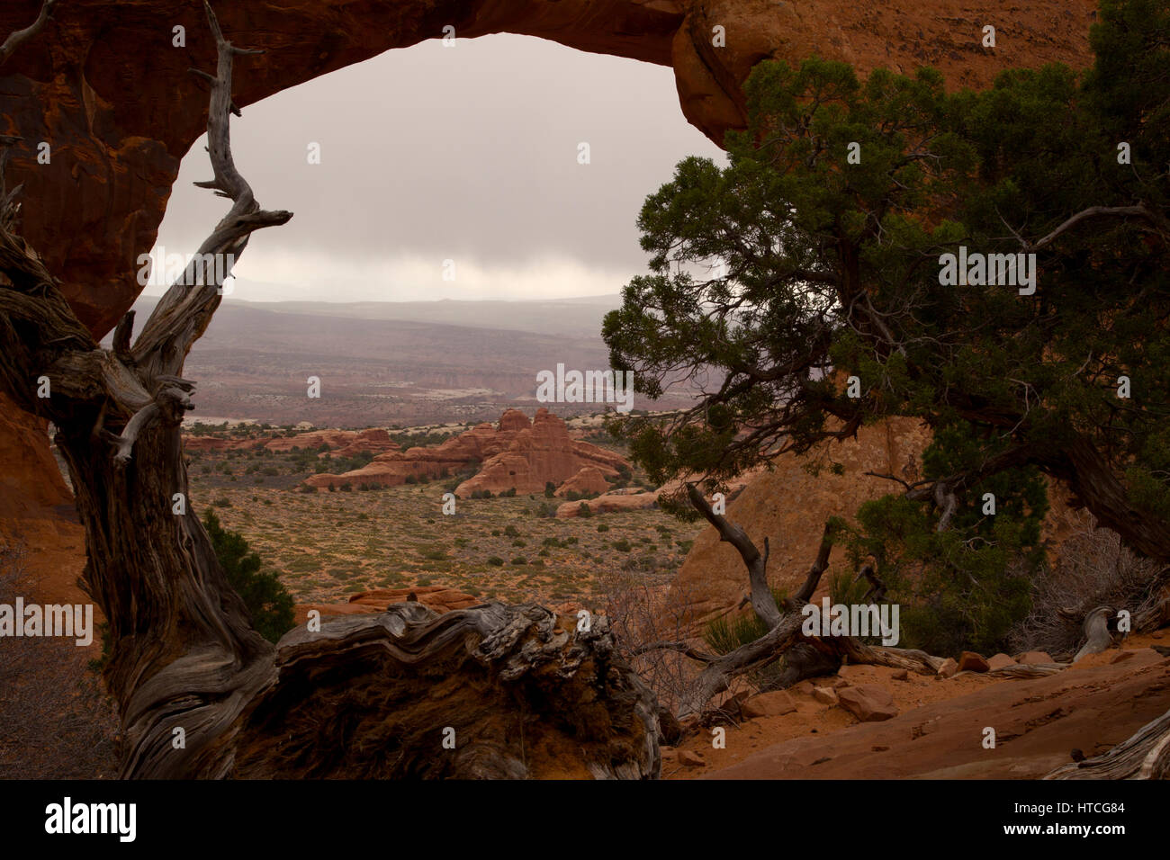 Partition Arch, Arches National Park, UT, USA Stock Photo - Alamy