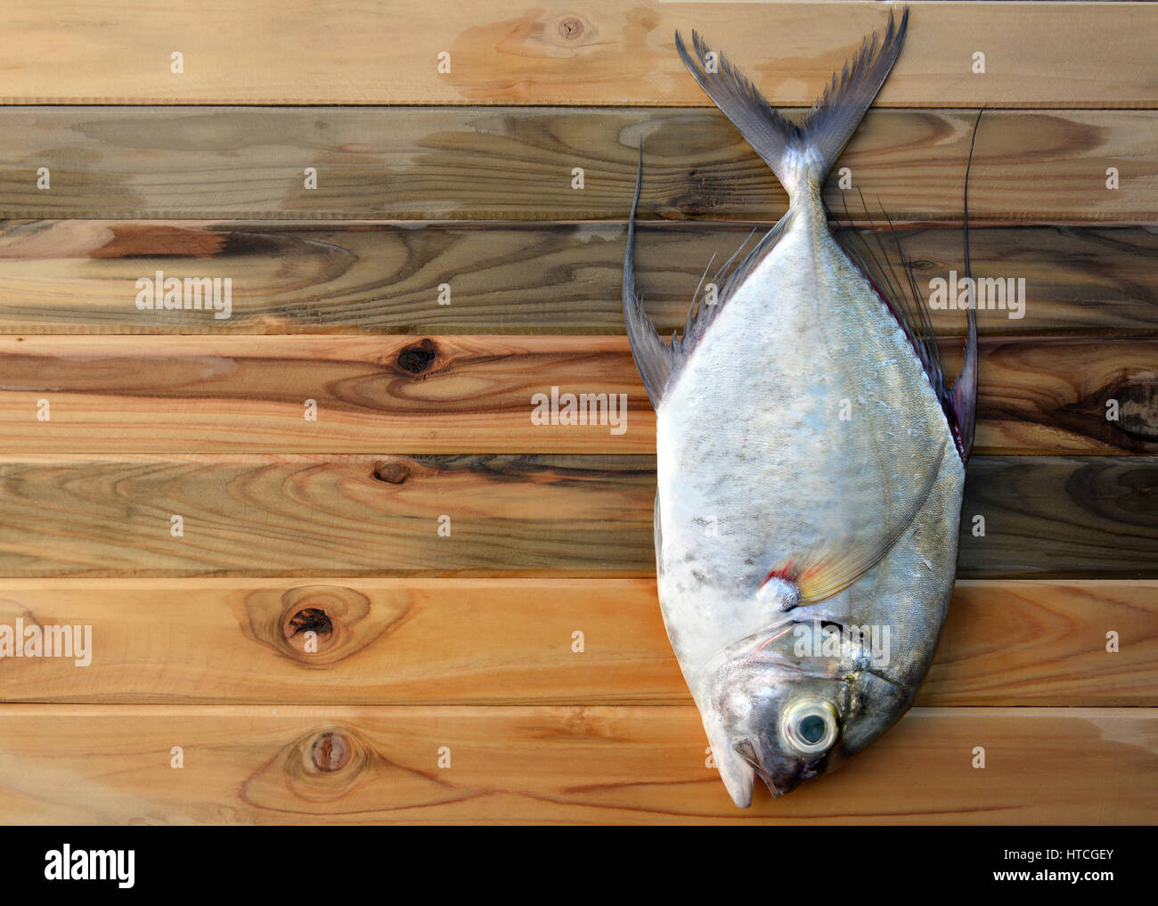Seafood pompano fish hi-res stock photography and images - Alamy