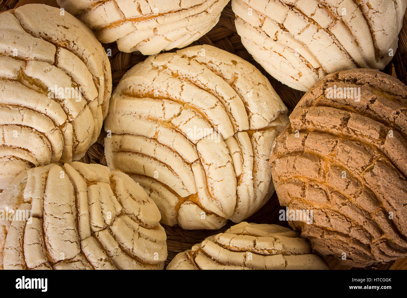 Conchas sweet bread traditional bakery of Mexico Stock Photo - Alamy