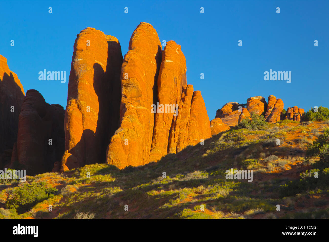 Stone fins hi-res stock photography and images - Alamy