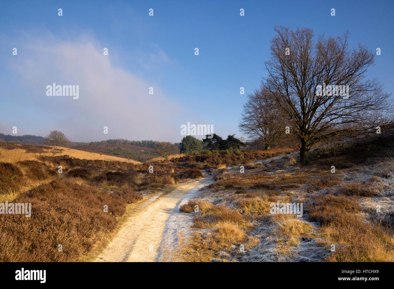 Sandy road near the Posbank Stock Photo - Alamy