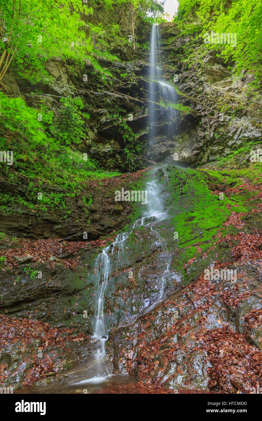 Landscape with Valea lui Stan canyon and river in Romania Stock Photo ...