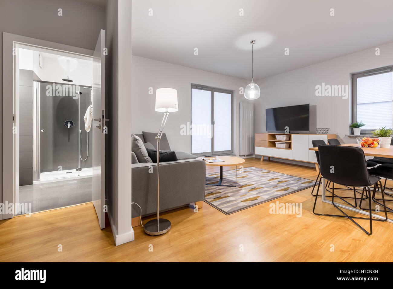 Bathroom, dining area and living room in the interior of modern flat ...