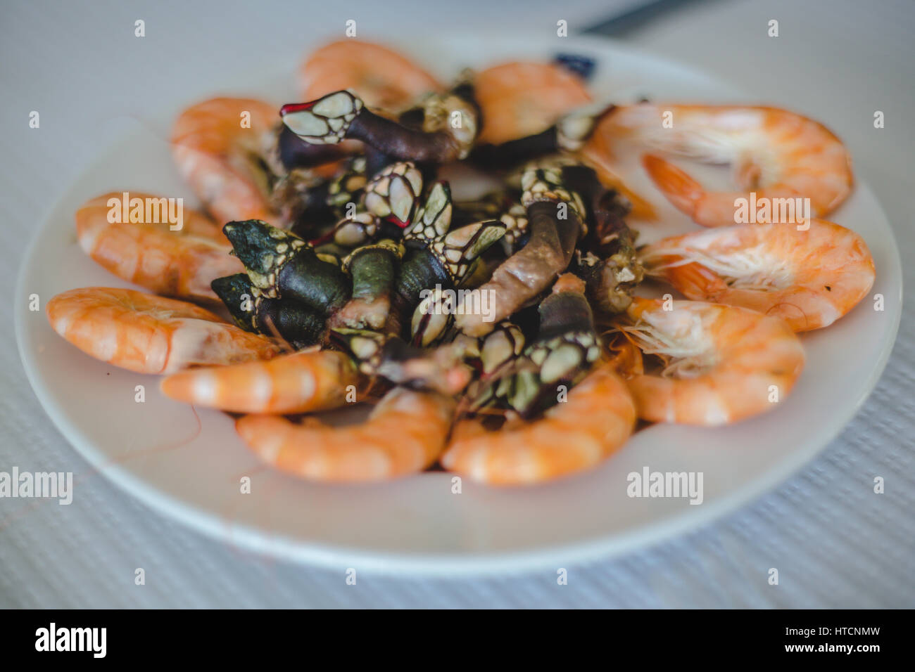 Goose barnacles hi-res stock photography and images - Alamy