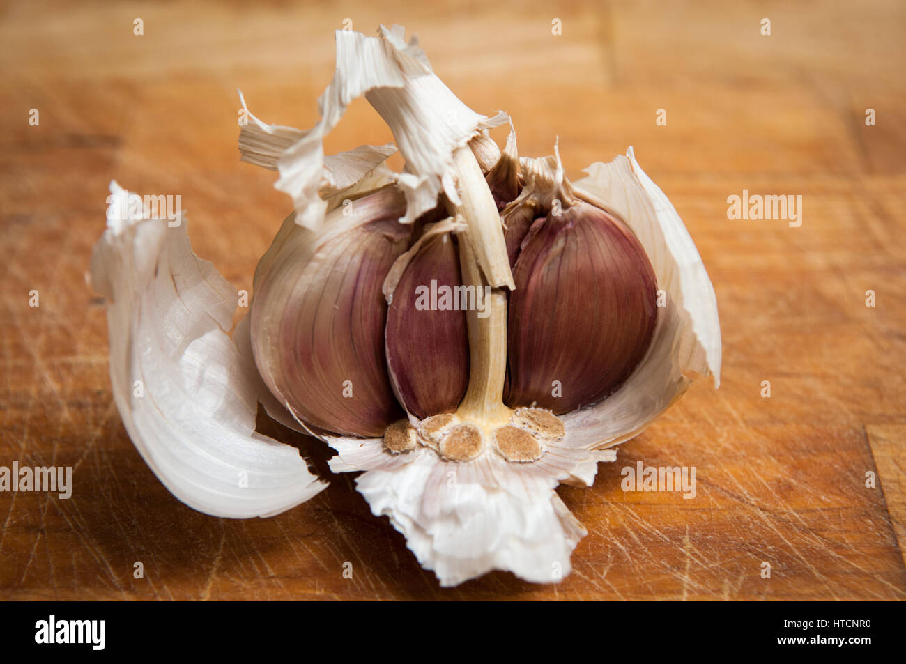 raw garlic food ingredient for cooking Stock Photo - Alamy