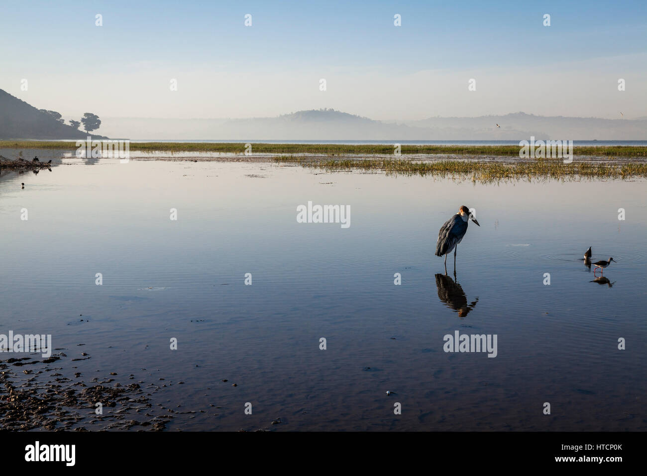 Lake Awassa At Sunrise, The Rift Valley, Ethiopia Stock Photo - Alamy