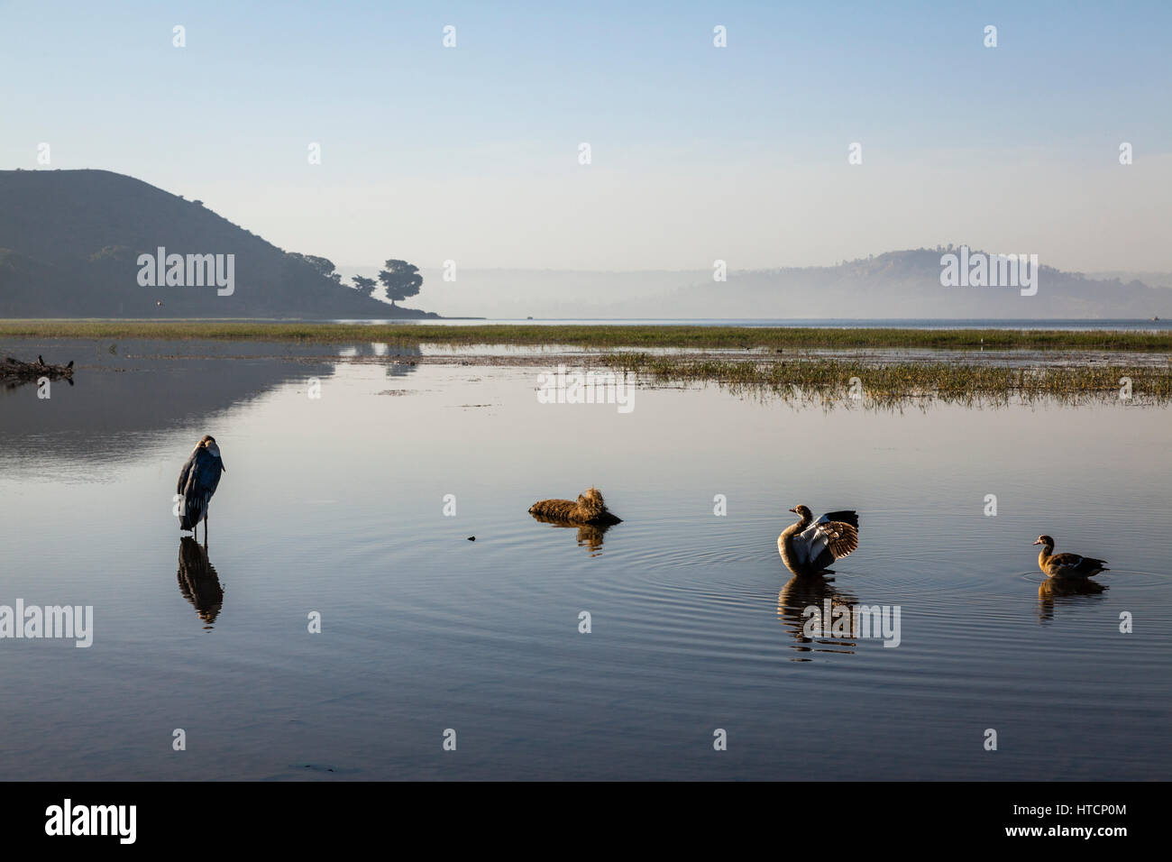 Lake Awassa At Sunrise, The Rift Valley, Ethiopia Stock Photo - Alamy