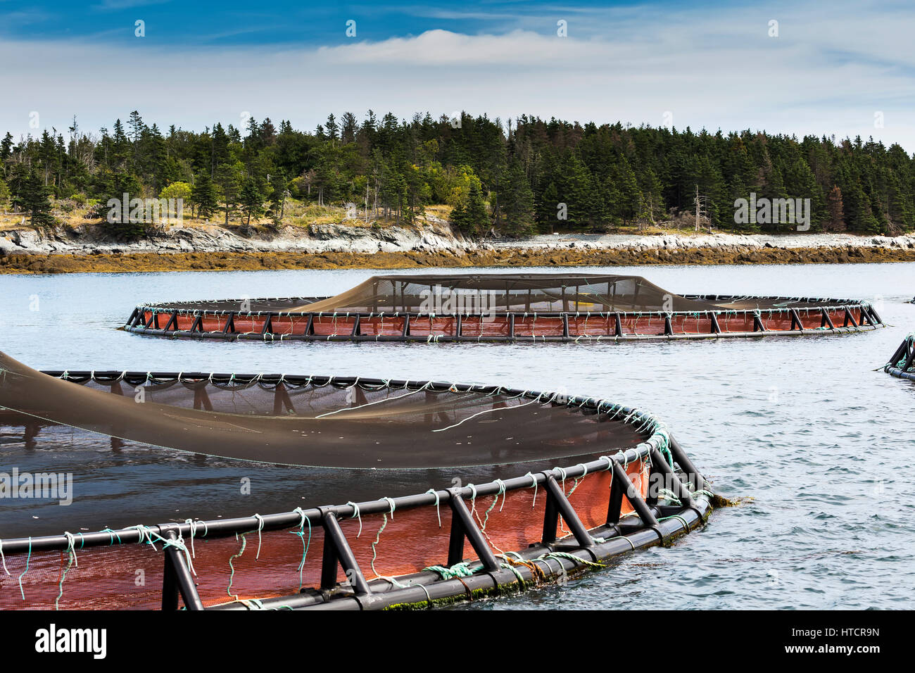 Aquaculture farm salmon netted frame pools in the water with rocky ...