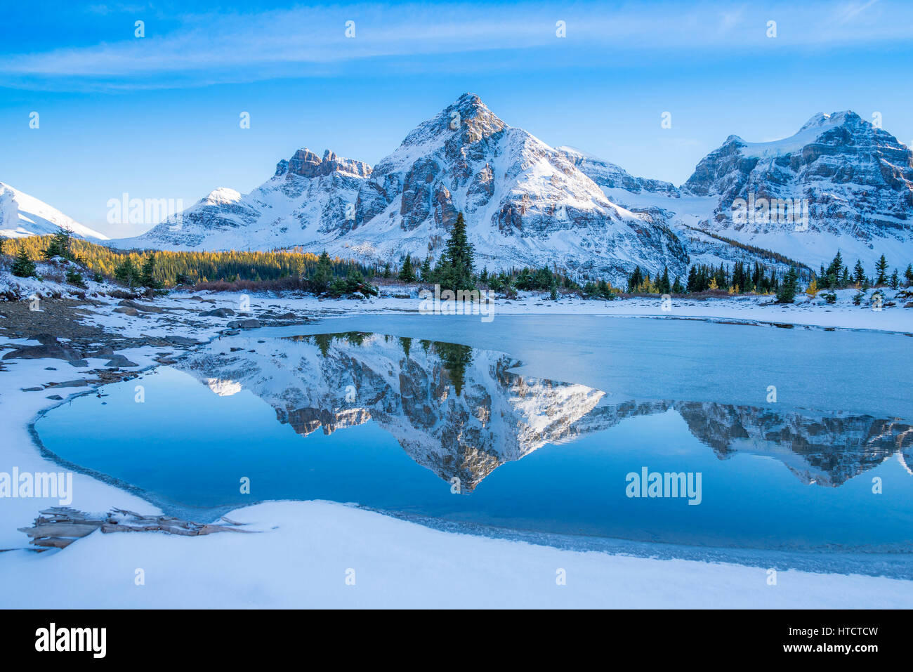Tarn reflection, Mount Assiniboine Provincial Park, British Columbia ...