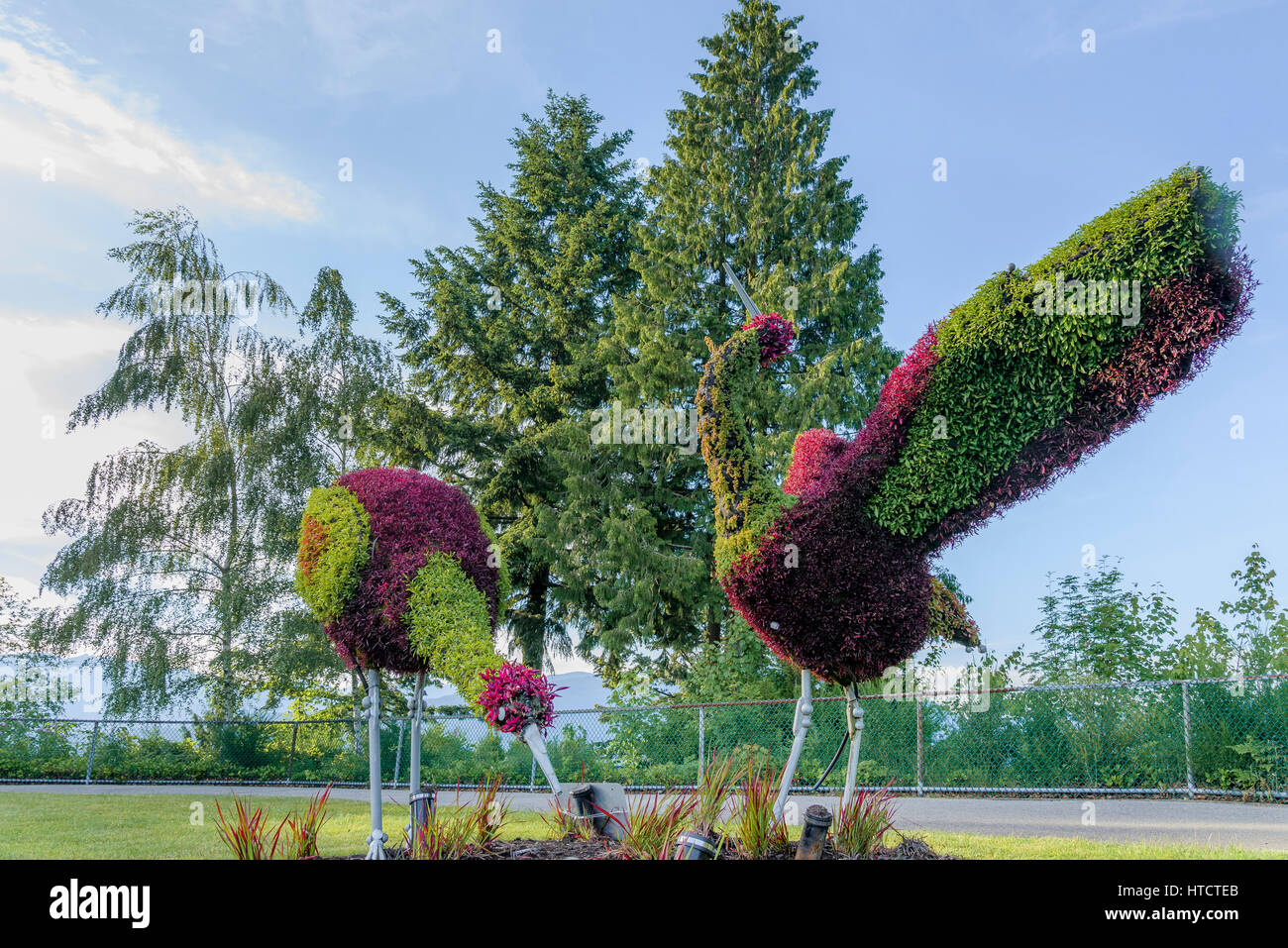 Topiary High Resolution Stock Photography and Images - Alamy