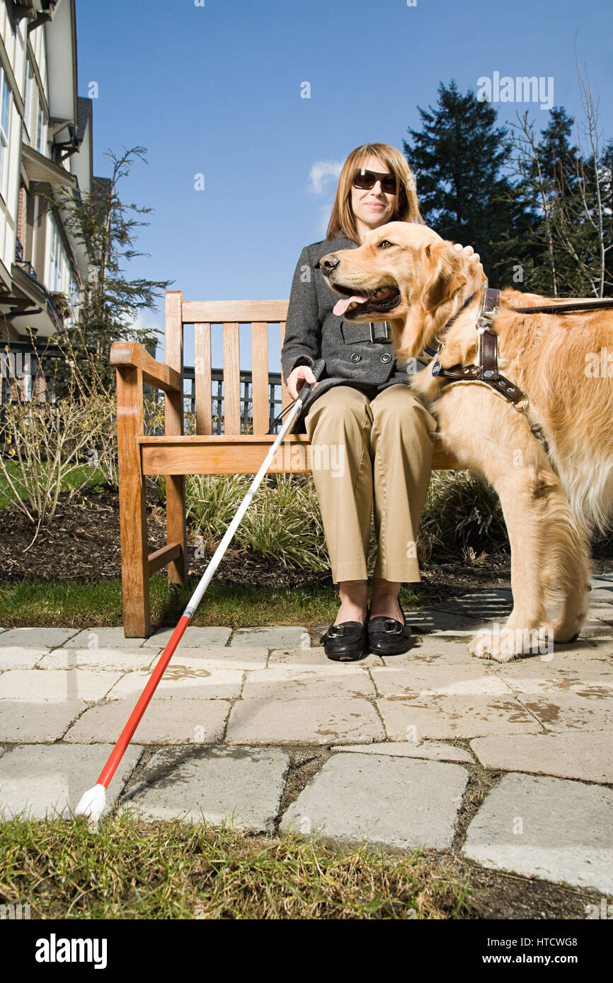 Person walking a guide dog hi-res stock photography and images - Alamy