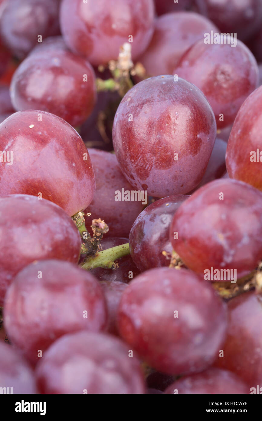 close up of red grapes Stock Photo - Alamy