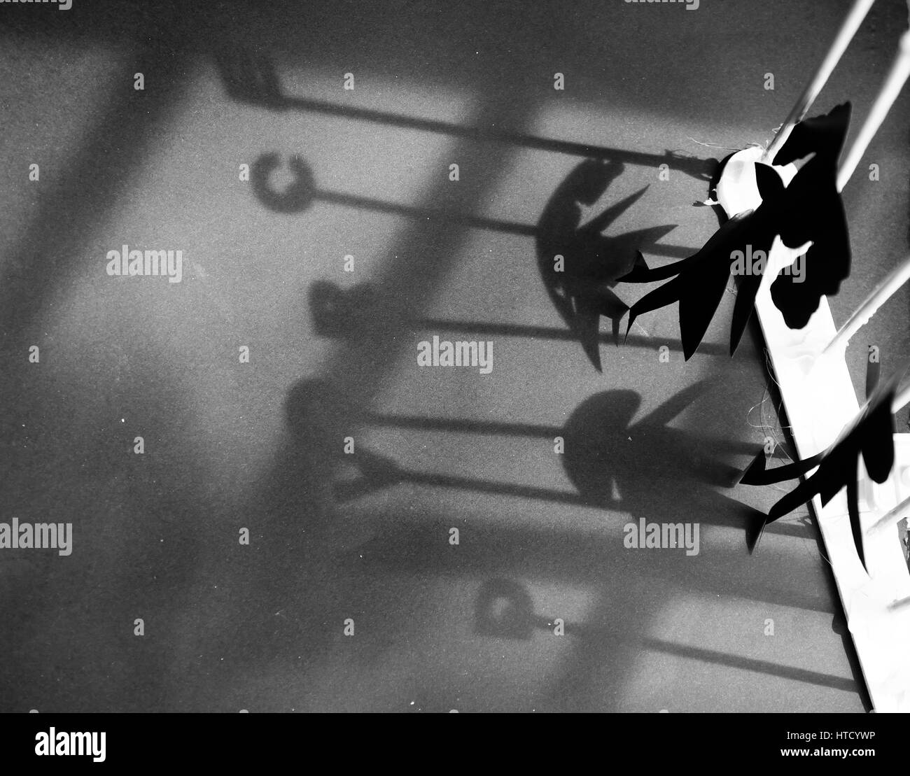 Divorce background with shadow of couple beside divorce letter on paper ...