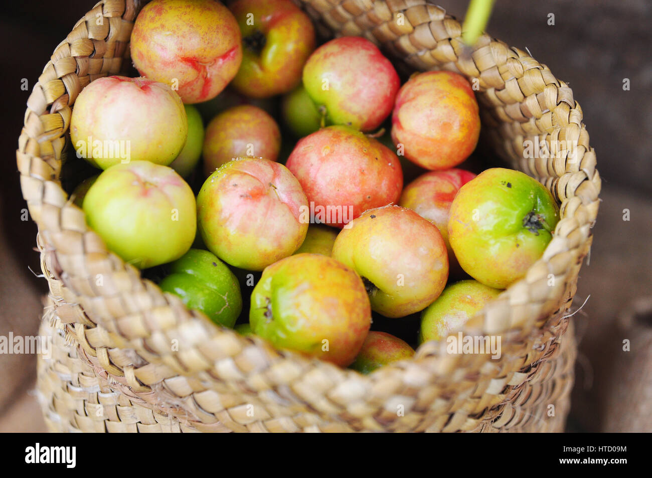 Acerola cherry malpighia emarginata hi-res stock photography and images ...
