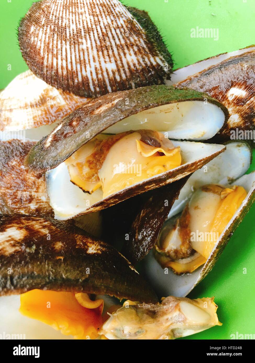 Steamed clam shells on dish for street food in Vietnam Stock Photo - Alamy