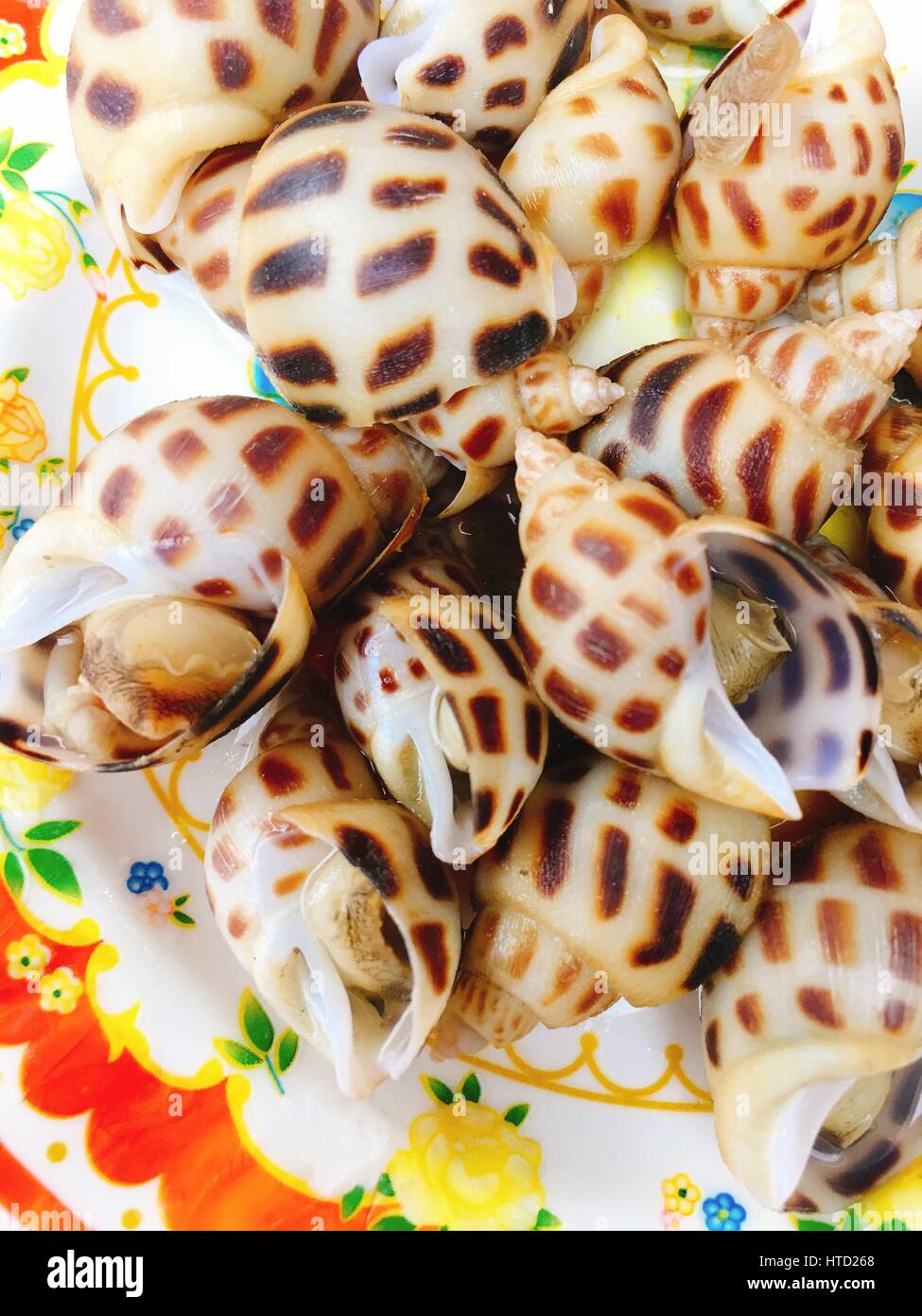 Steamed shells on dish for street food in Vietnam Stock Photo - Alamy