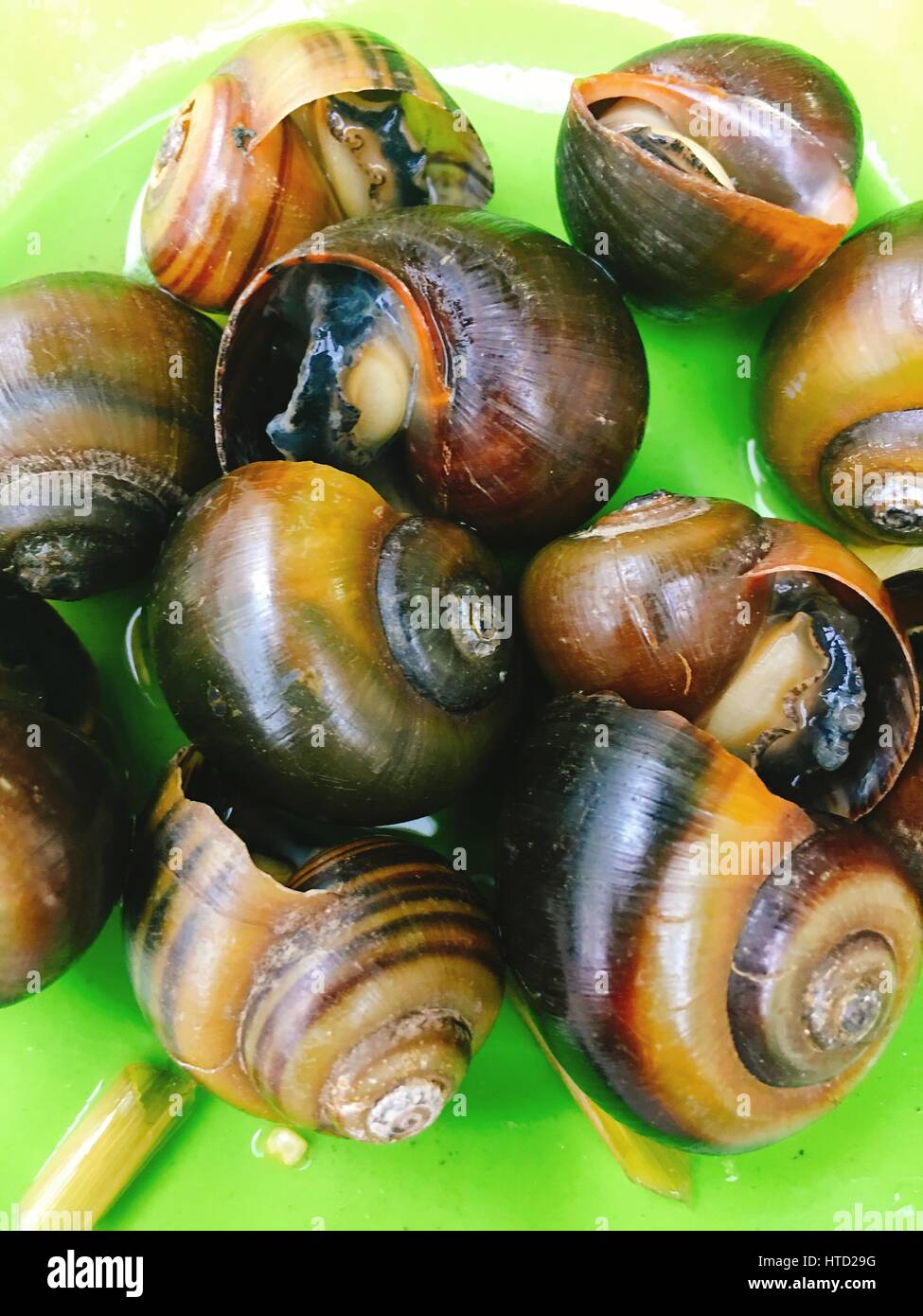 Vietnamese steamed snails on dish for street food Stock Photo - Alamy