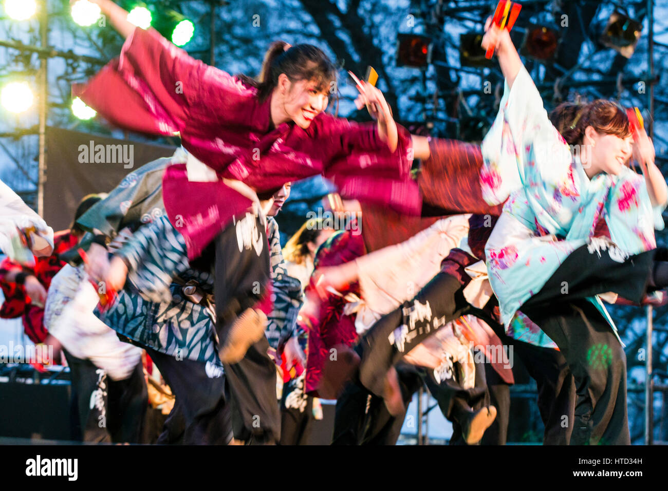 Yosakoi Festival. Dance team, mainly women, holding naruko, dancing and ...