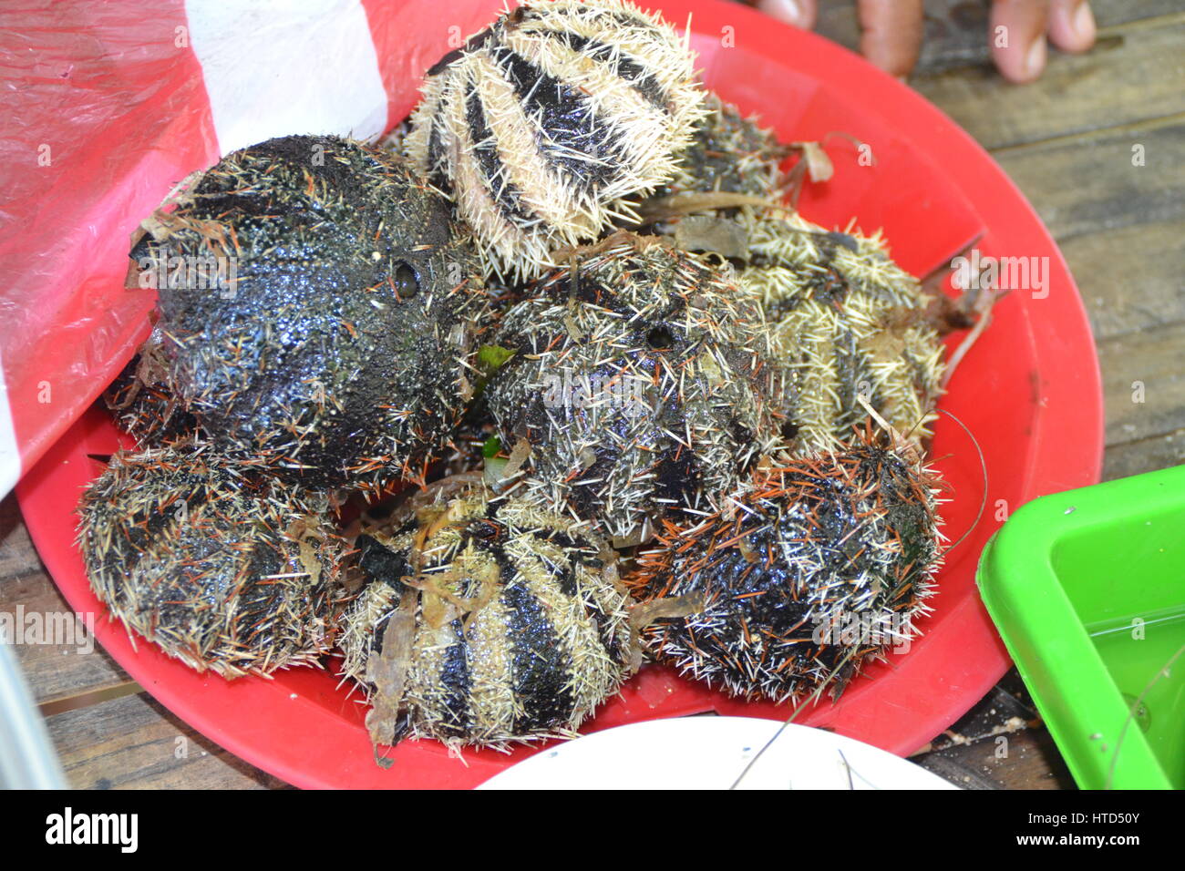 Marine mussels are very tasty, healthy and delicious seafood, for ...